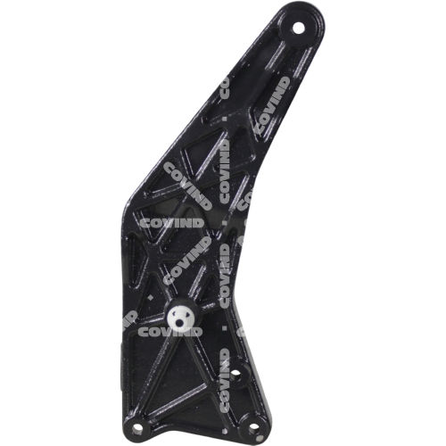 Covind s.p.a. - TGX 2021